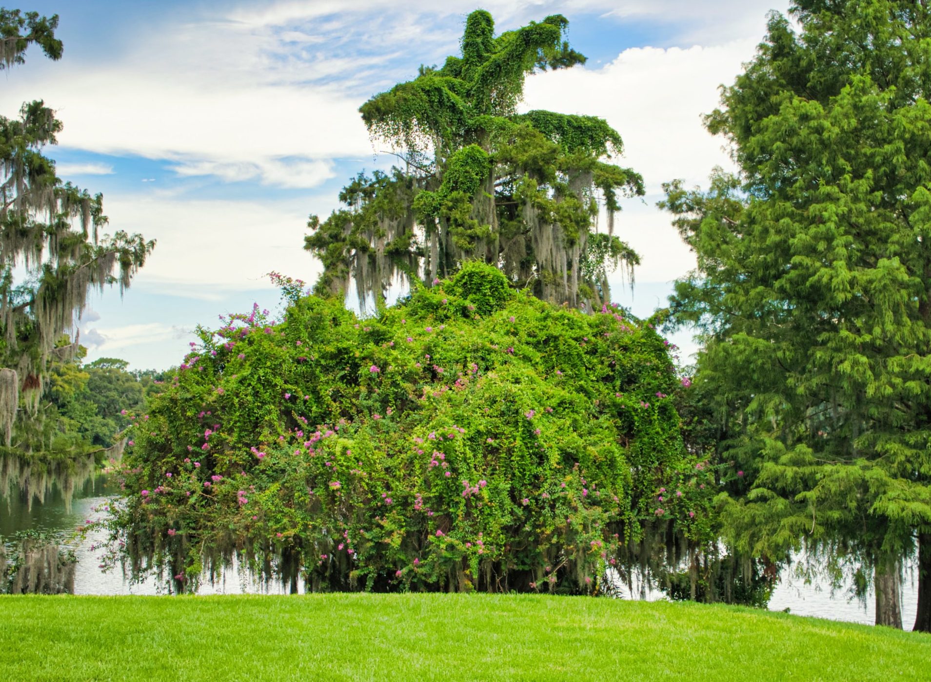 Orlando Eco Tours | Central Florida Activities